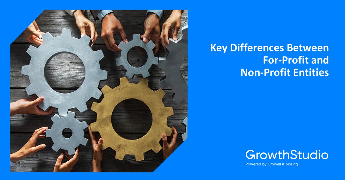 Key Differences Between For-Profit and Non-Profit Entities ...